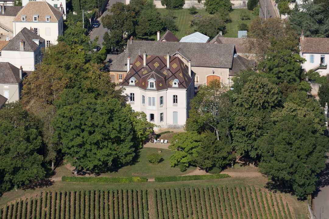 Once in a lifetime: Domaine des Comtes Lafon | Proefschrift